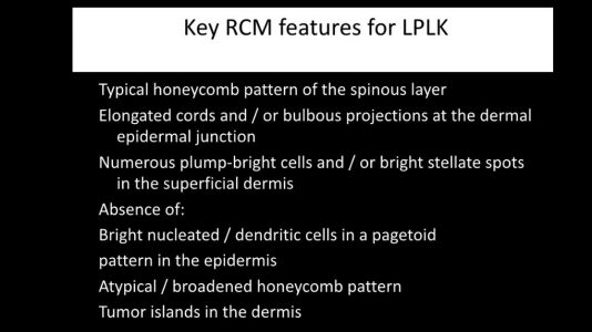 LPLK Archives | Confocal Microscopy 101